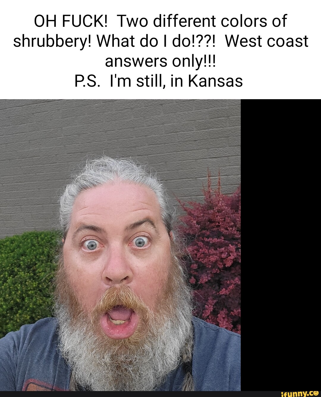 OH FUCK! Two different colors of shrubbery! What do I do!??! West coast ...