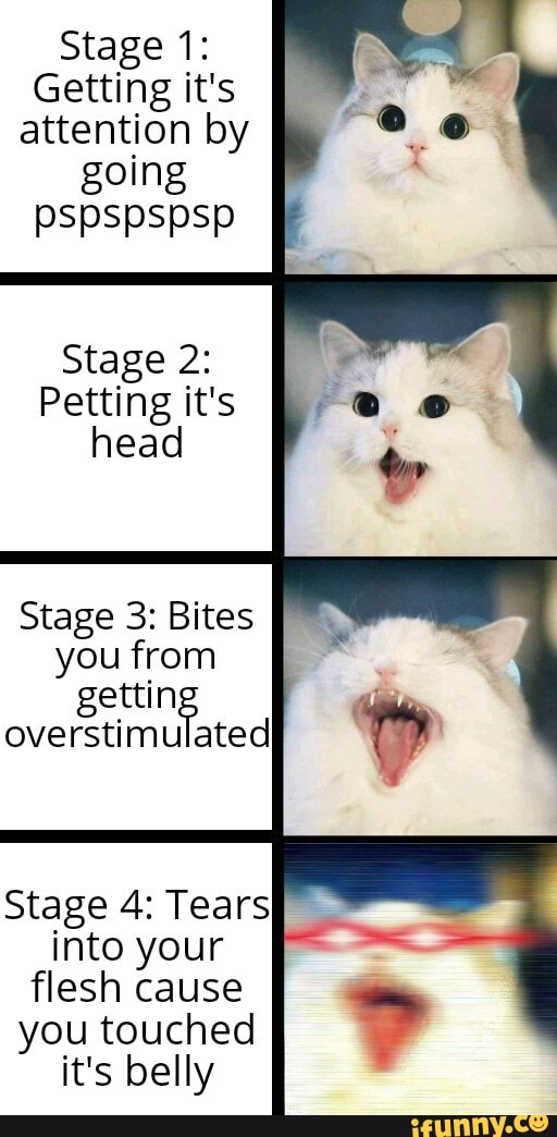 Pspspspsp memes. Best Collection of funny Pspspspsp pictures on iFunny