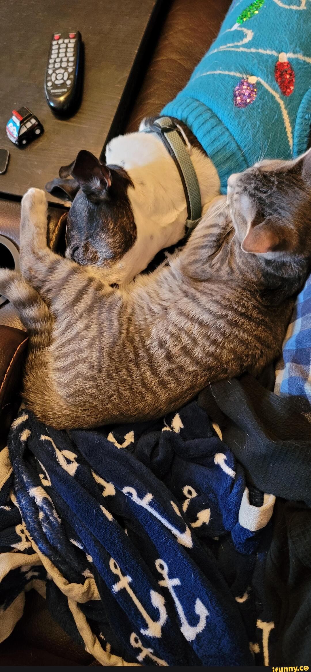 Sol_invictus memes. Best Collection of funny Sol_invictus pictures on ...