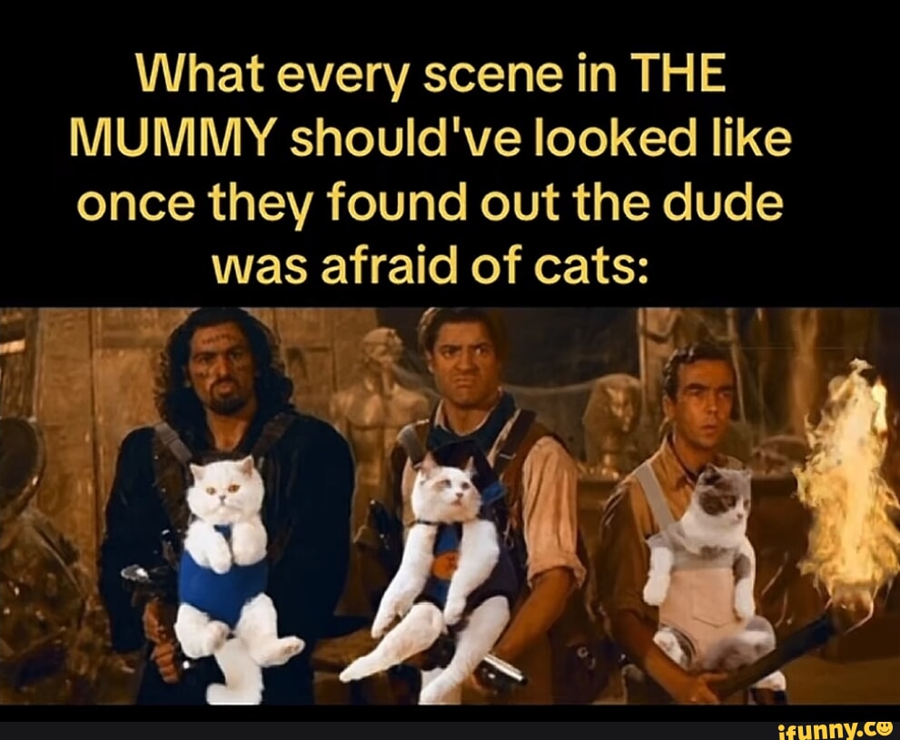 What every scene in THE MUMMY should've looked like once they found out ...