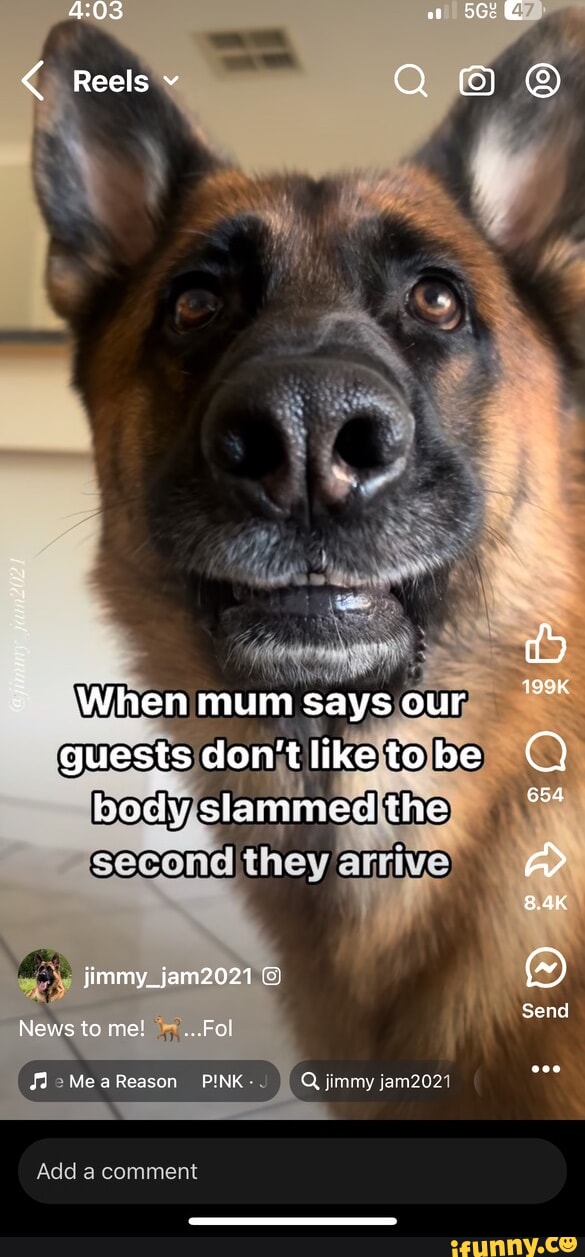 Guests memes. Best Collection of funny Guests pictures on iFunny