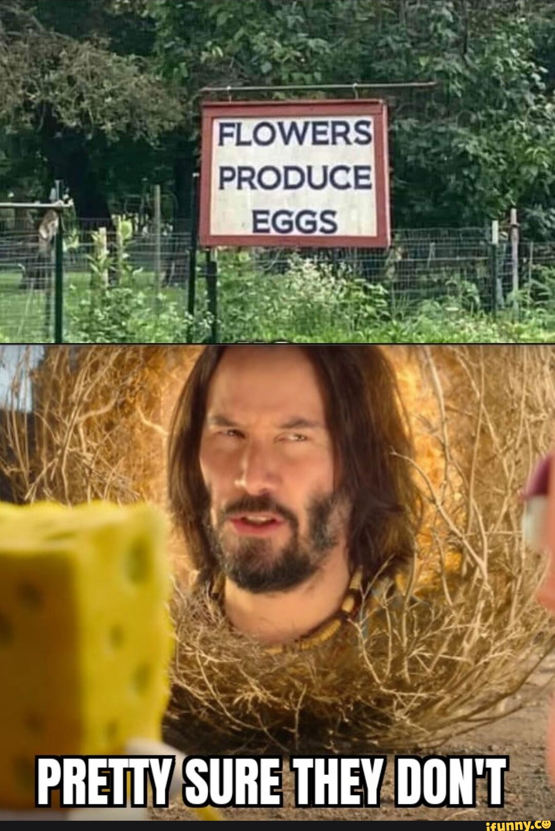 Tumbleweed memes. Best Collection of funny Tumbleweed pictures on iFunny