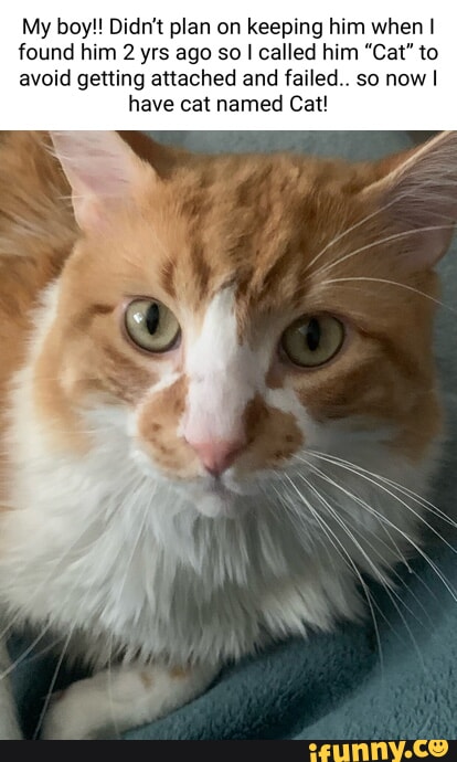 COMMON LOGIC GATE SYMBOLS AND GATE. OR GATE NOT GATE ~-NOR GATE XOR ...