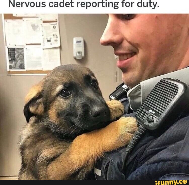 Reporting memes. Best Collection of funny Reporting pictures on iFunny