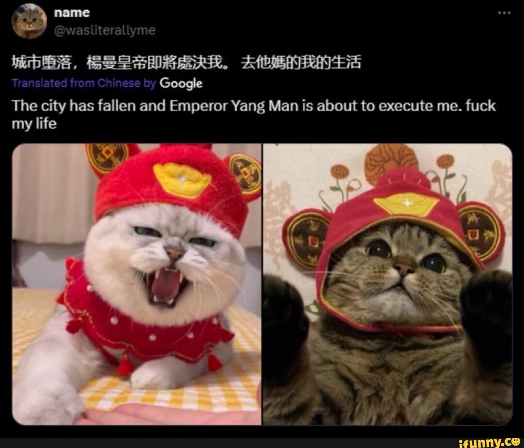 Yang memes. Best Collection of funny Yang pictures on iFunny