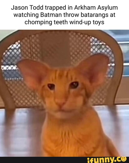 Jason Todd trapped in Arkham Asylum watching Batman throw batarangs at ...