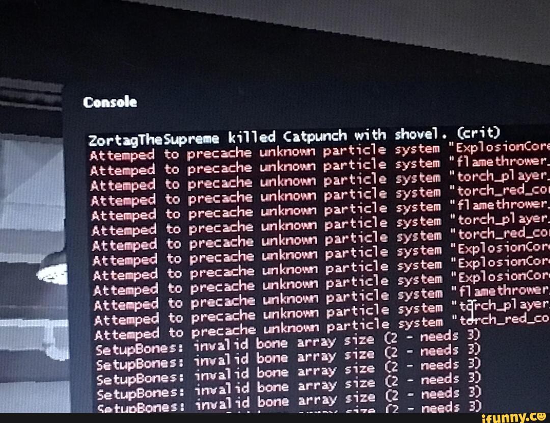 Catpunch memes. Best Collection of funny Catpunch pictures on iFunny