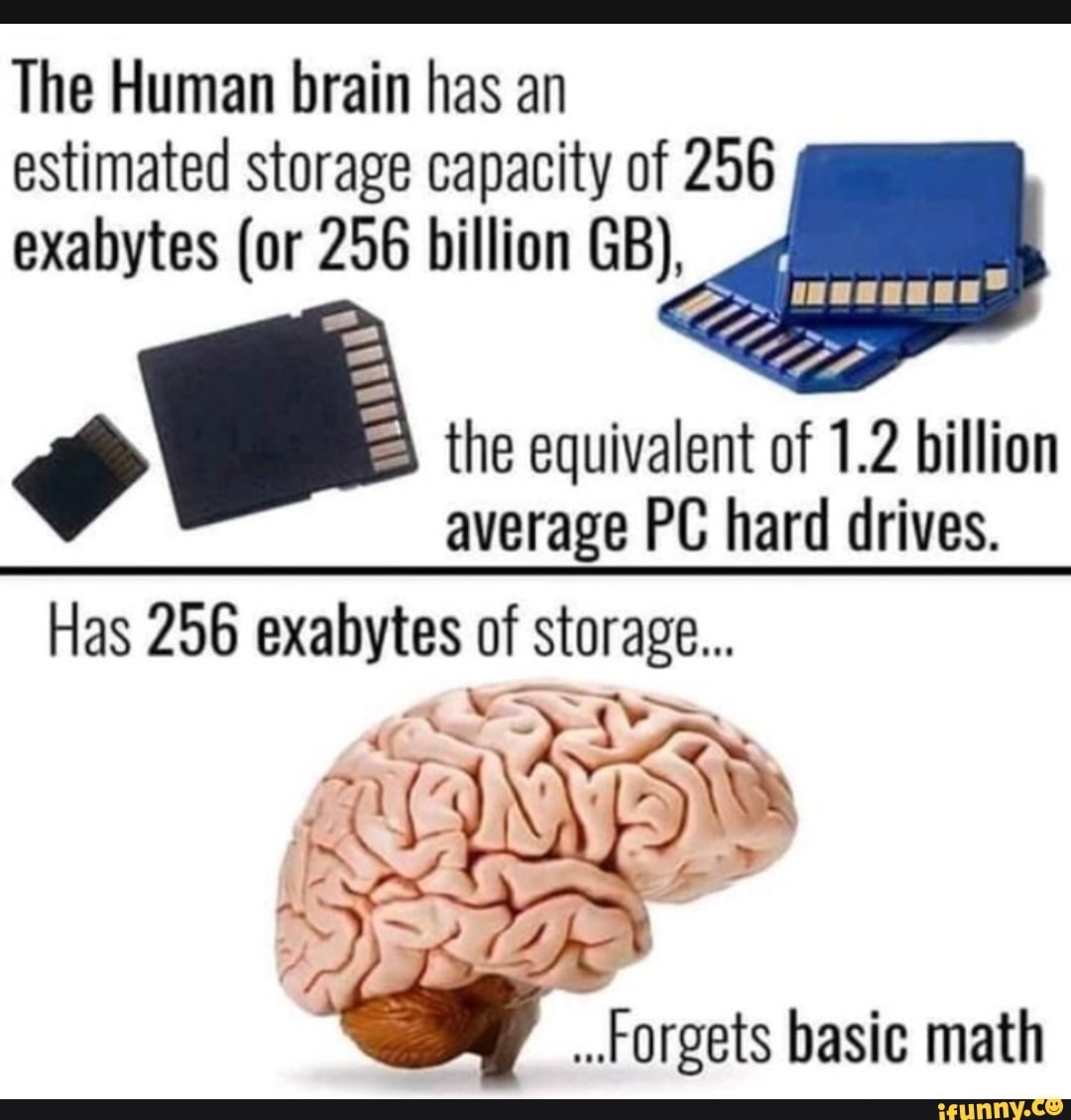Human Memory Capacity