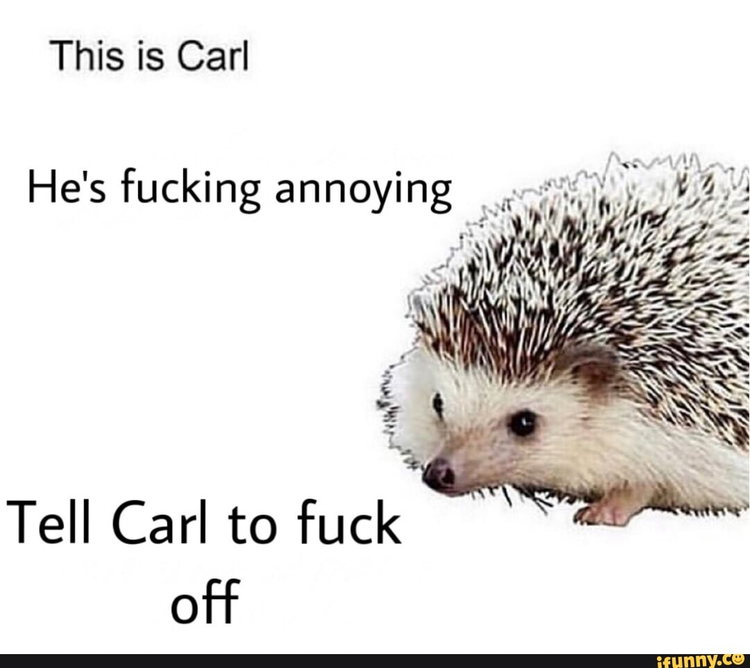 This is Carl He Tell Carl to fuck off - iFunny