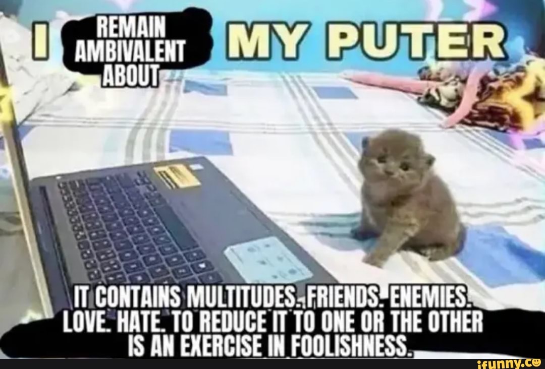 REMAIN AMBIVALENT ABOUT IT CONTAINS MULTITUDES. FRIENDS ENEM LOVE. HATE ...