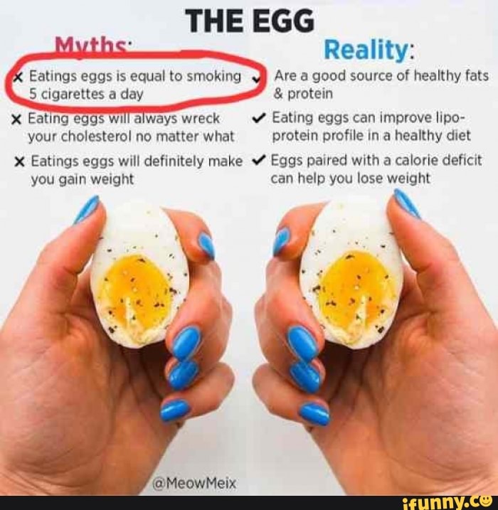 Cursedegg memes. Best Collection of funny Cursedegg pictures on iFunny
