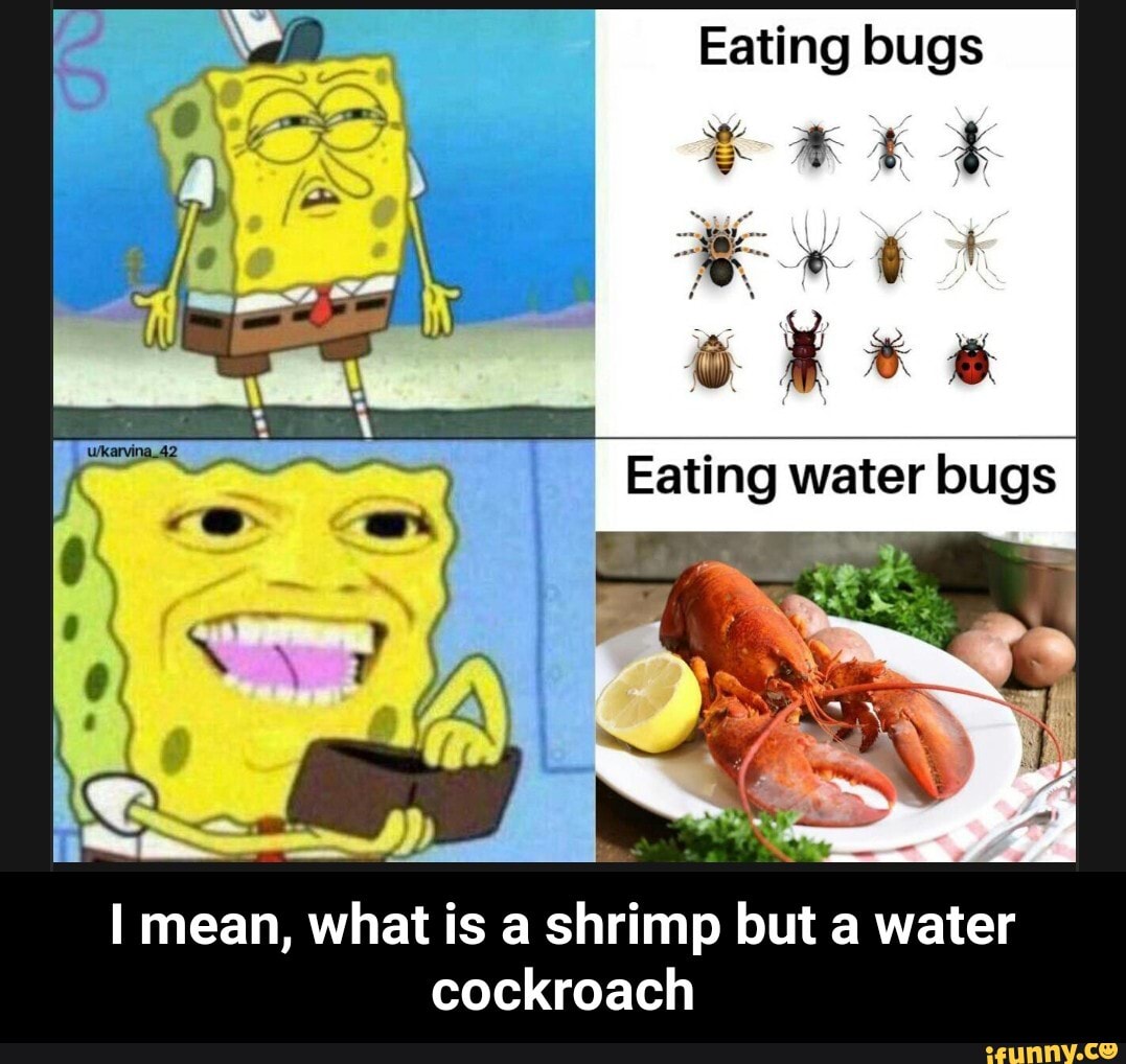 Eating bugs Eating water bugs mean, what is a shrimp but a water ...