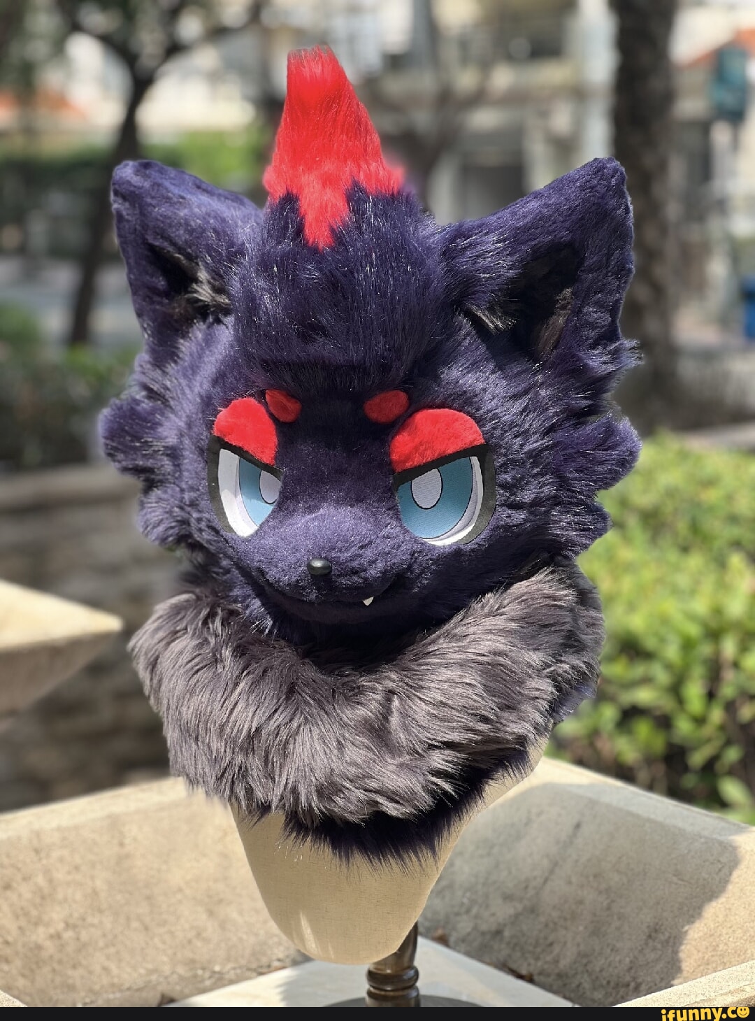 Zorua memes. Best Collection of funny Zorua pictures on iFunny