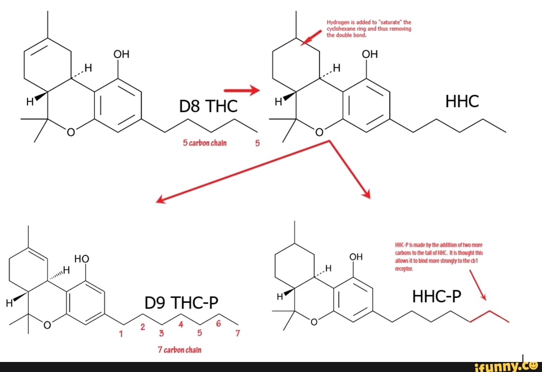 Headon memes. Best Collection of funny Headon pictures on iFunny