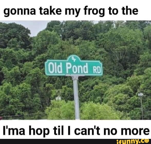 Gonna take my frog to the (Old Pond 'ma hop til I can't no more - iFunny