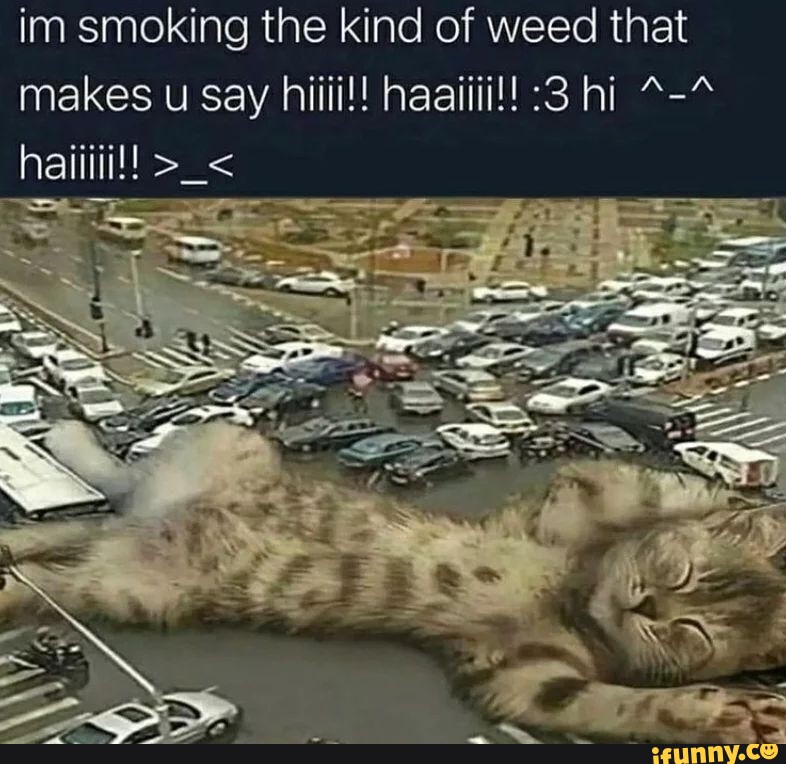 Hiiii memes. Best Collection of funny Hiiii pictures on iFunny