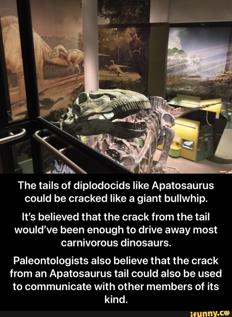 Diplodocids memes. Best Collection of funny Diplodocids pictures on iFunny