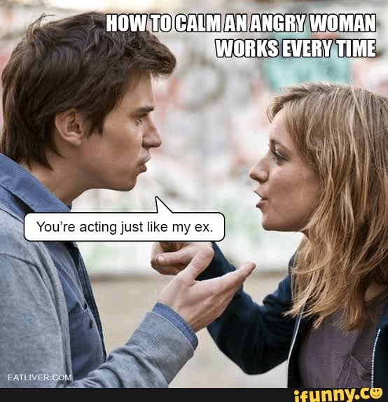 HOW AN ANGRY WOMAN WORKS EVERY You're acting just like my ex. - iFunny