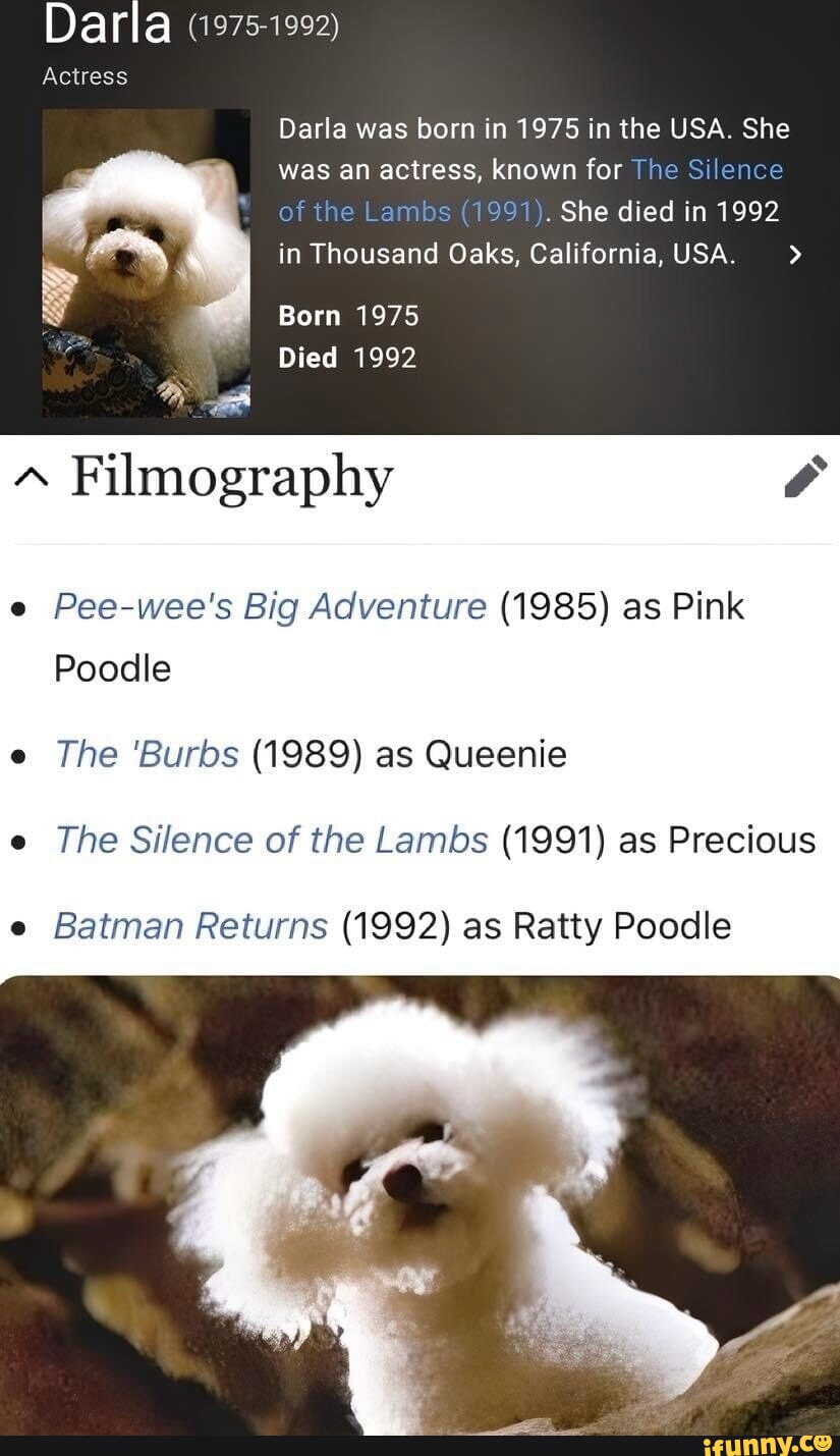 Burbs memes. Best Collection of funny Burbs pictures on iFunny