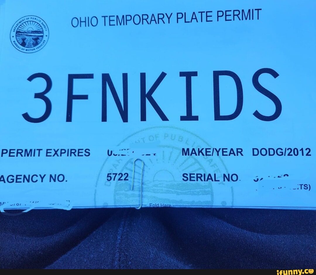 TikTok afar Our dog meeting our newborn for the first time - iFunny