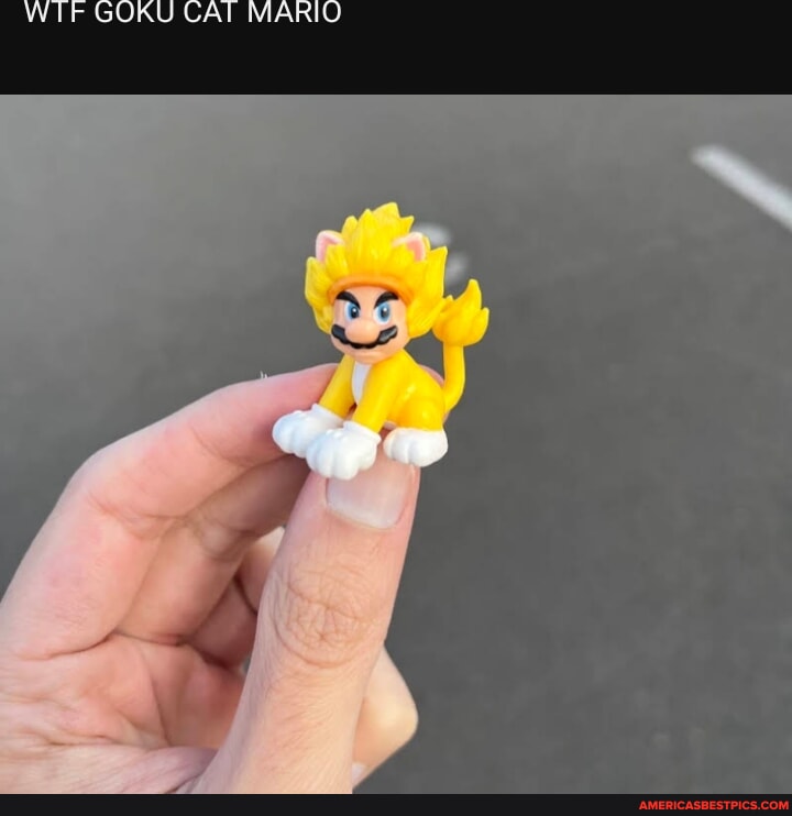 GOKU CAT MARIO - America’s best pics and videos