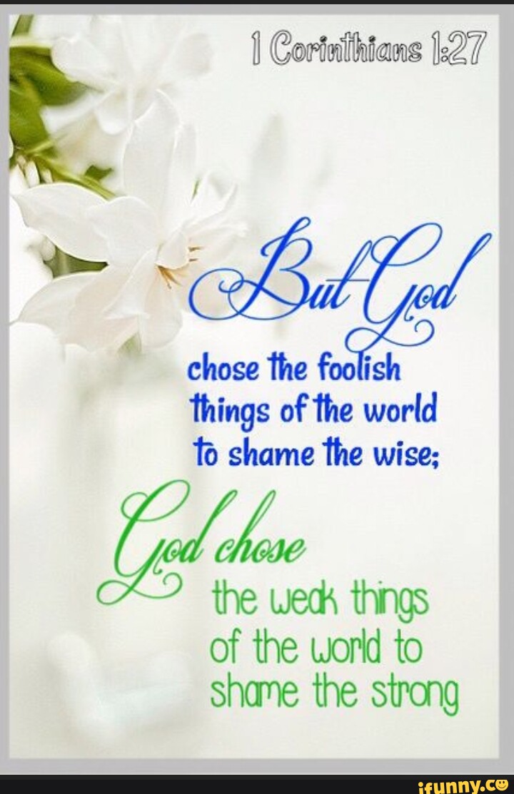 Foolish memes. Best Collection of funny Foolish pictures on iFunny