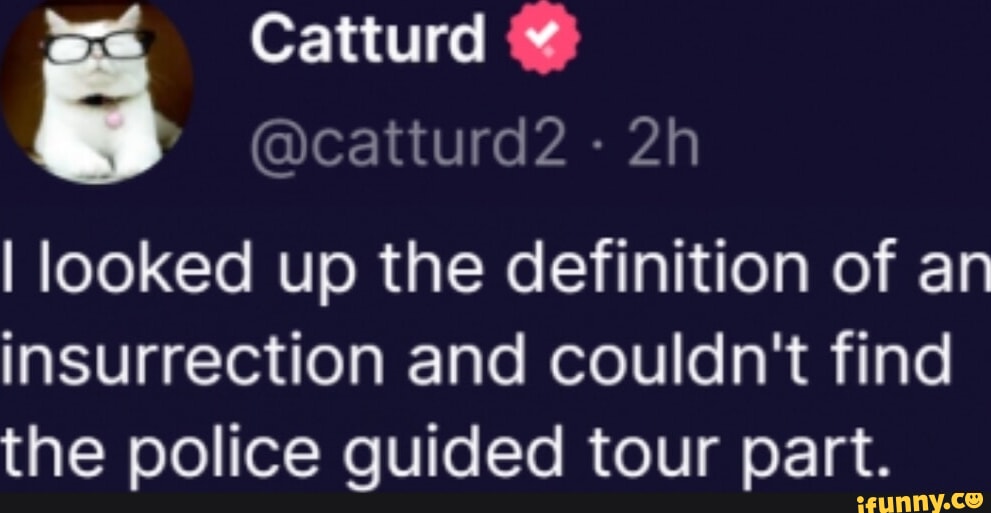 Catturd (@catturd2 I looked up the definition of an insurrection and ...