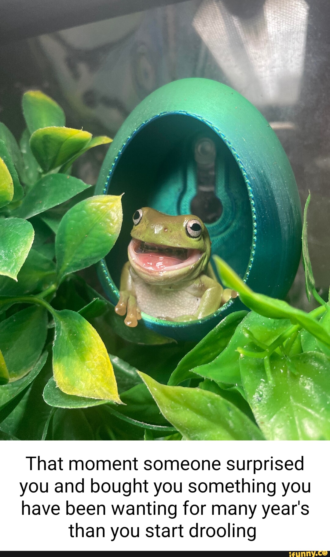 That moment someone surprised you and bought you something you have ...