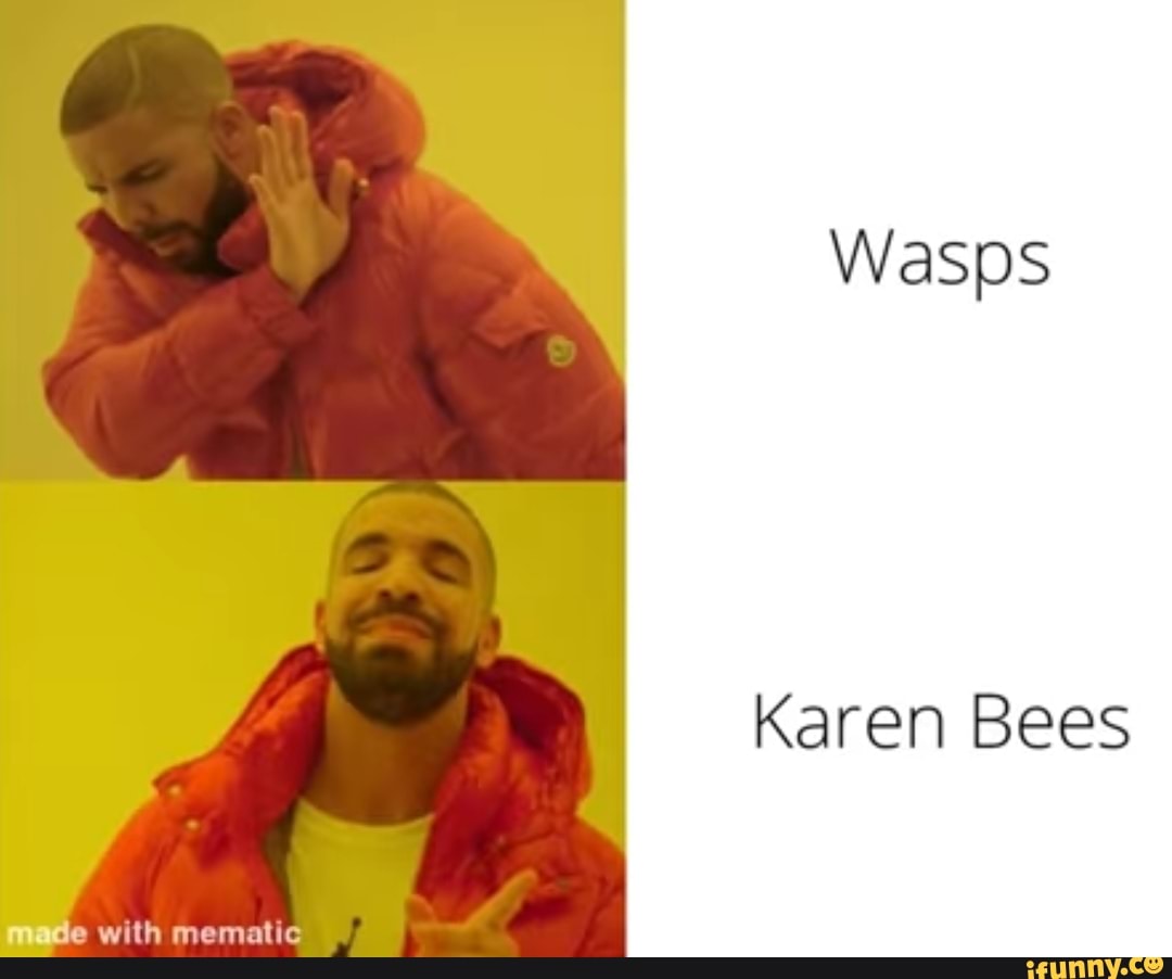 Wasps Karen Bees mace with mematic - iFunny