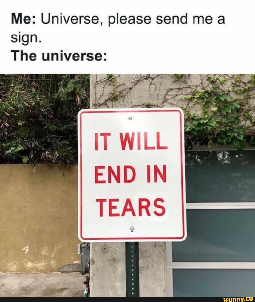 Video memes AfY4x4gD7 by Eclectics: 1.7K comments - iFunny