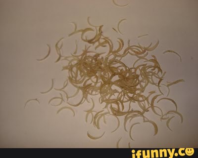 Quicksort memes. Best Collection of funny Quicksort pictures on iFunny