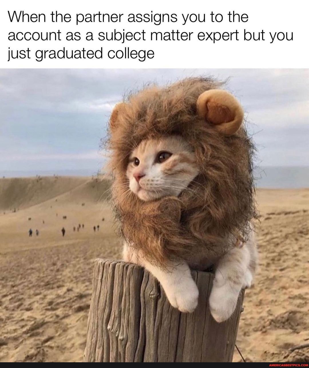 Modules memes. Best Collection of funny Modules pictures on America’s ...