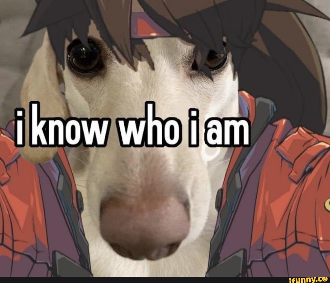 Solbadguy memes. Best Collection of funny Solbadguy pictures on iFunny