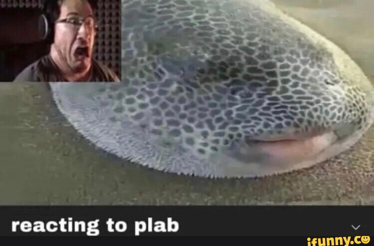 Plab memes. Best Collection of funny Plab pictures on iFunny
