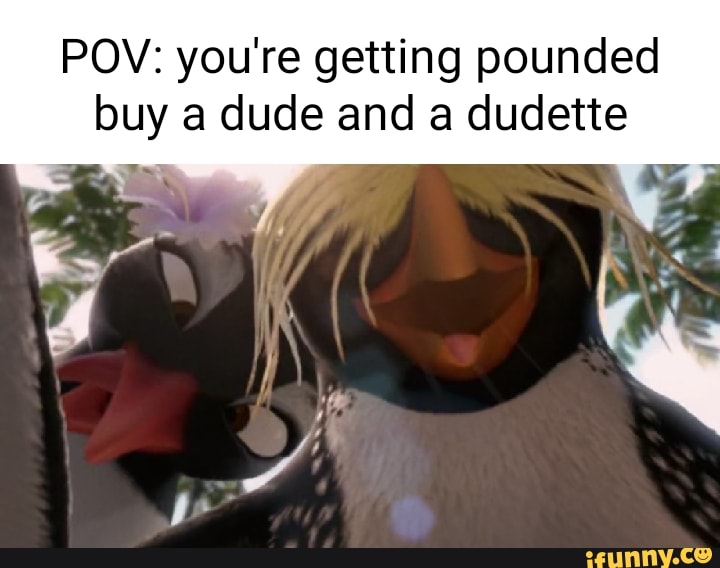 Dudette memes. Best Collection of funny Dudette pictures on iFunny