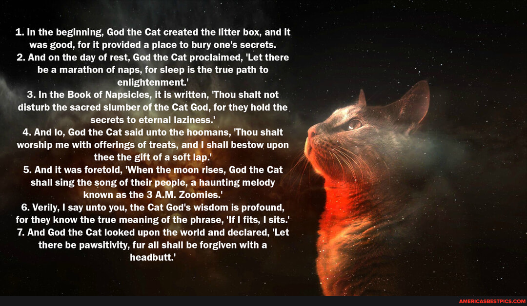 1. In the beginning, God the Cat created the litter box, and it was ...