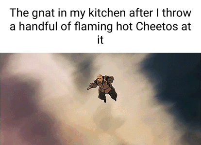 Gnat memes. Best Collection of funny Gnat pictures on iFunny