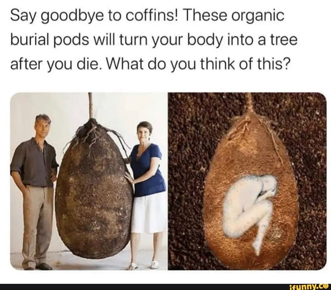 Say goodbye to coffins! These organic burial pods will turn your body ...