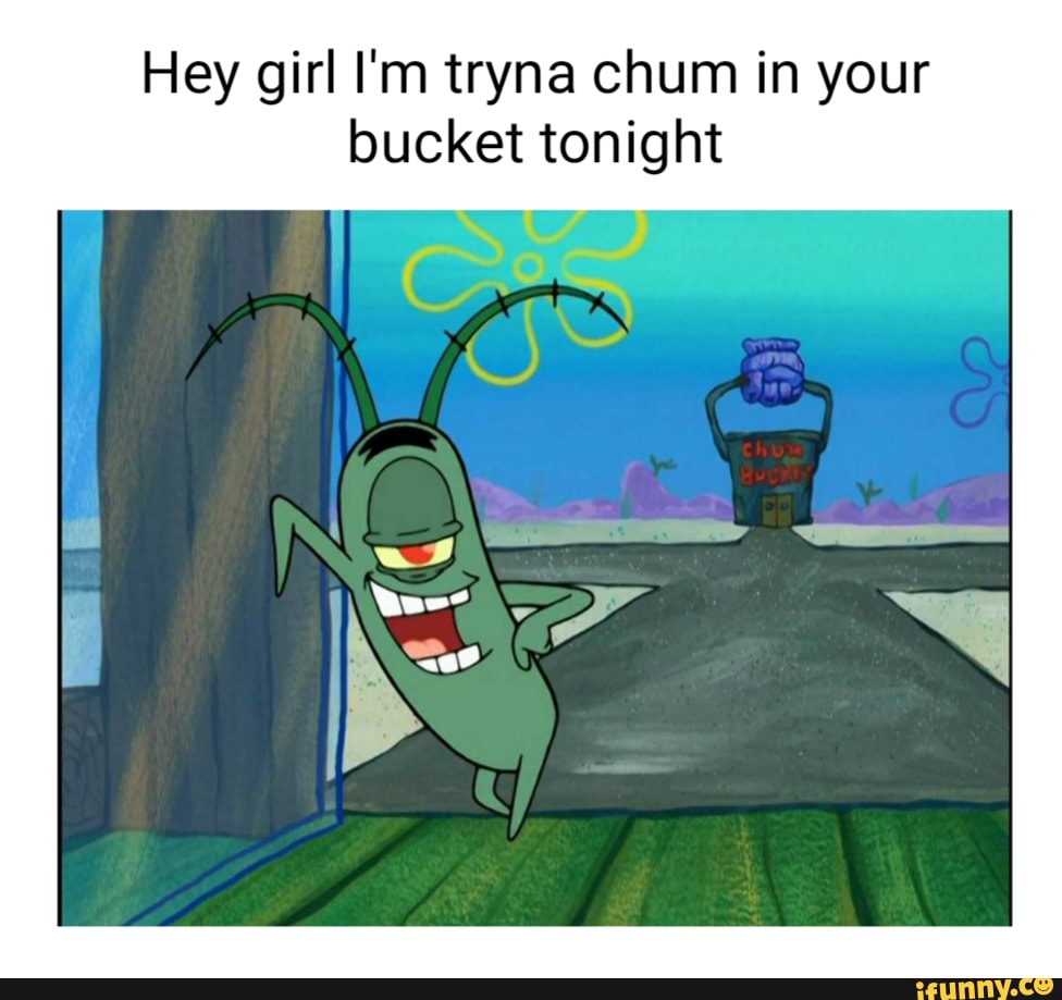 Hey girl I'm tryna chum in your bucket tonight - iFunny