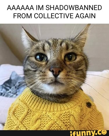 AAAAAA IM SHADOWBANNED FROM COLLECTIVE AGAIN - iFunny