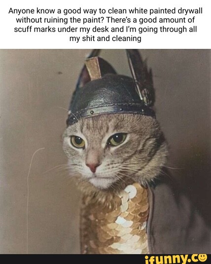 Scuff memes. Best Collection of funny Scuff pictures on iFunny