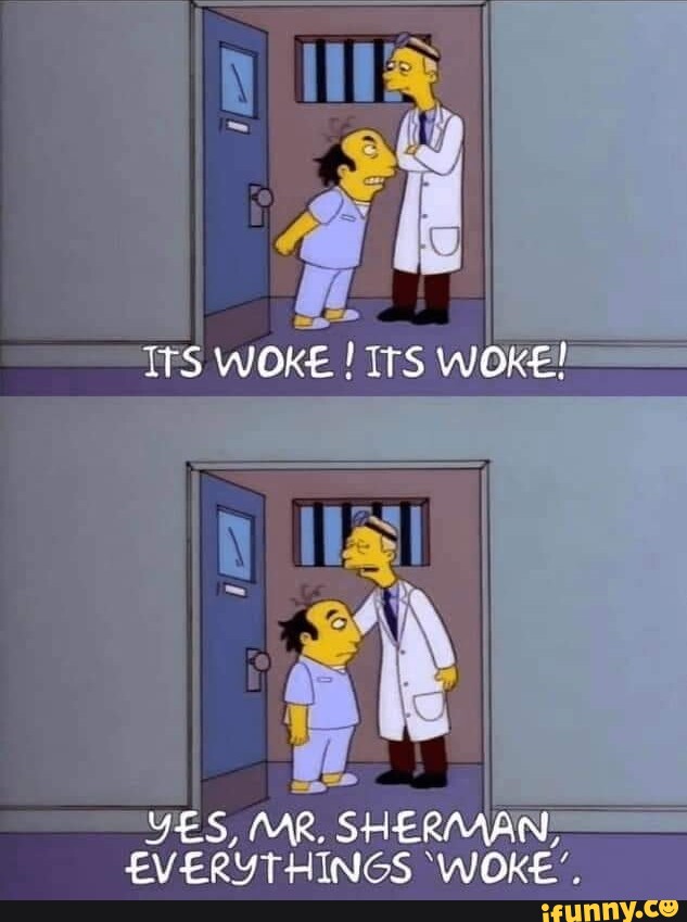 WOKE ITS WOKE! YES, MR, SHERMAN, EVERYTHINGS WOKE'. - iFunny