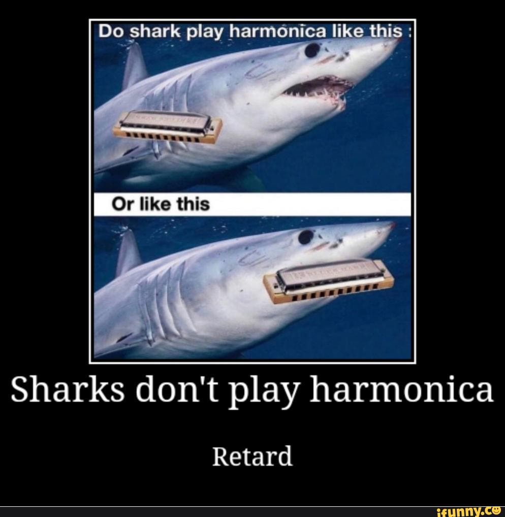 Do shark play harmonica like this : Sharks don't play harmonica Retard ...