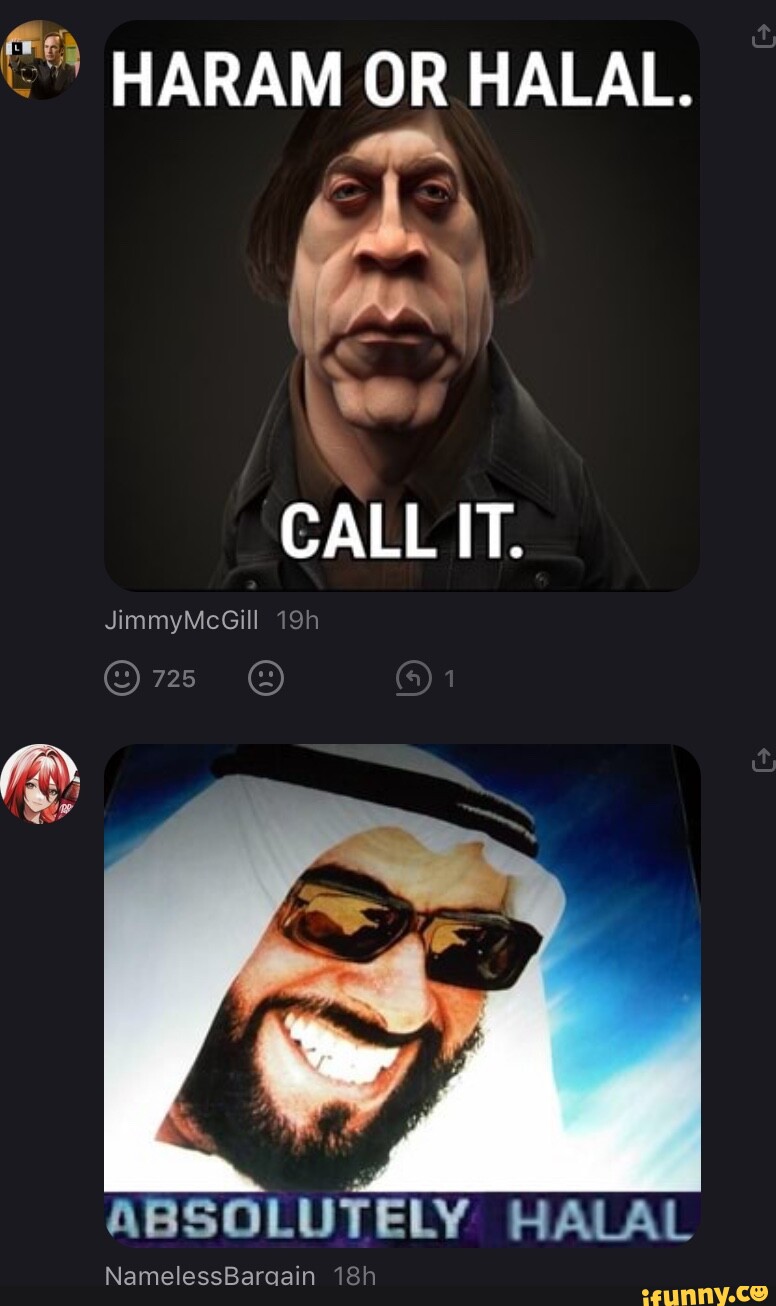 HARAM OR HALAL. \te, CALL IT. Gill ABSOLUTELY HALAL NamelessBaraain ...