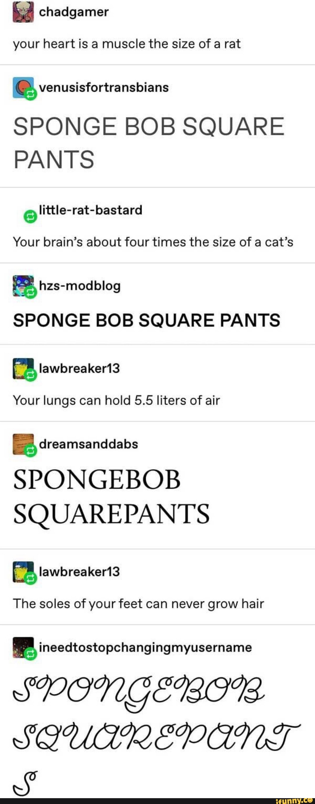 Your heart is a muscle the size of a rat SPONGE BOB SQUARE PANTS Your ...