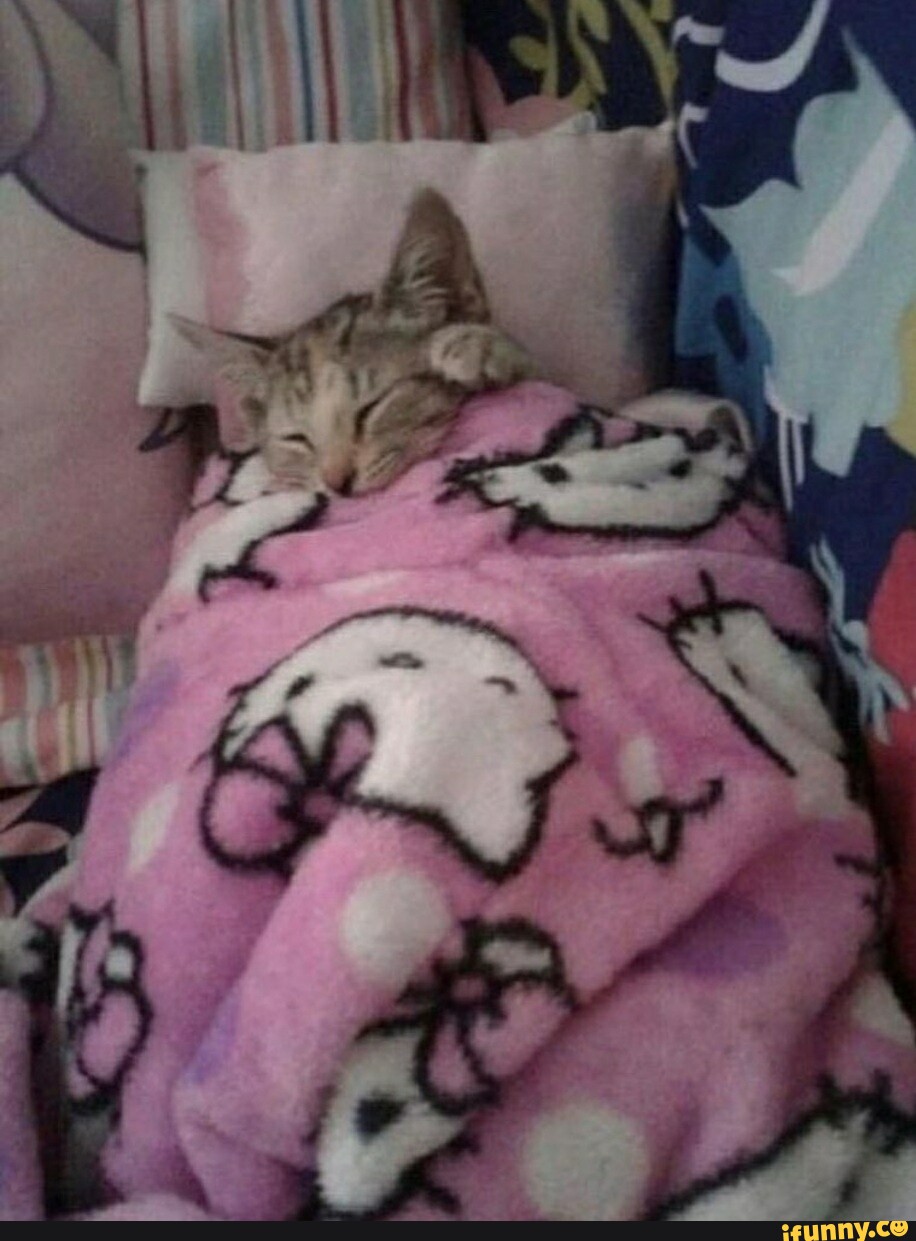 Mimimi memes. Best Collection of funny Mimimi pictures on iFunny