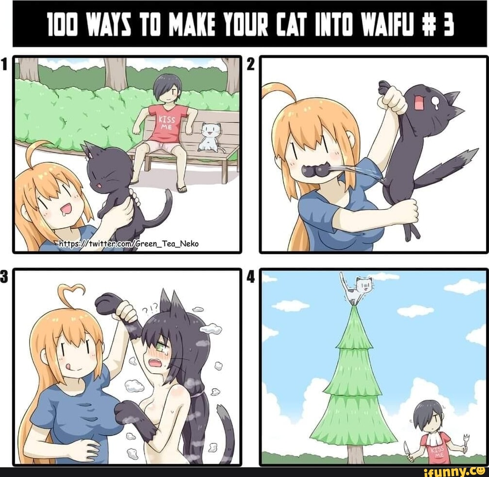 100 WAYS TO MAKE YOUR CAT INTO WAIFU #3 - iFunny