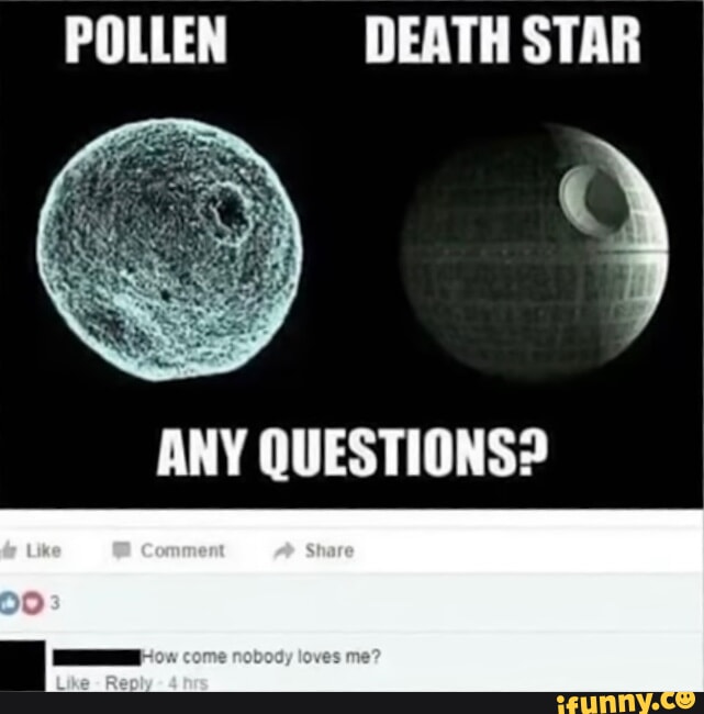 Video memes Z2L6zEkwA by Subjugate - iFunny