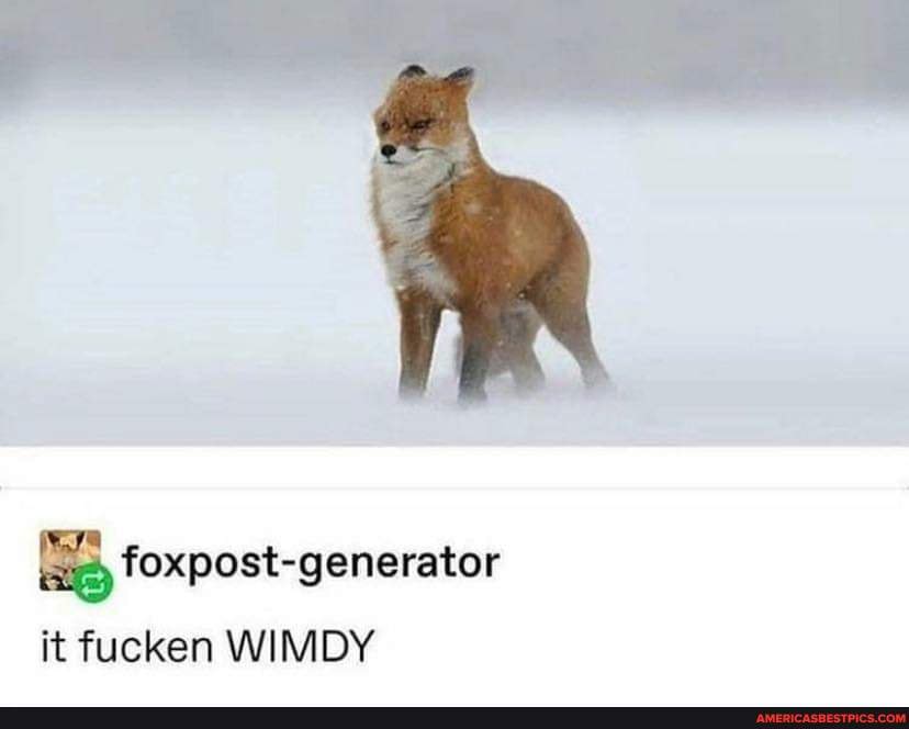 wimdy : r/tumblr