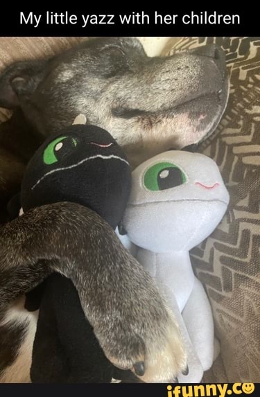 Yazz memes. Best Collection of funny Yazz pictures on iFunny